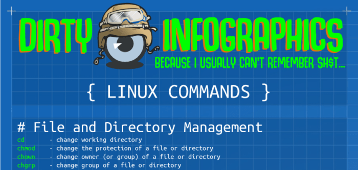 Infographic – Linux for Dummies! – Dirty Optics